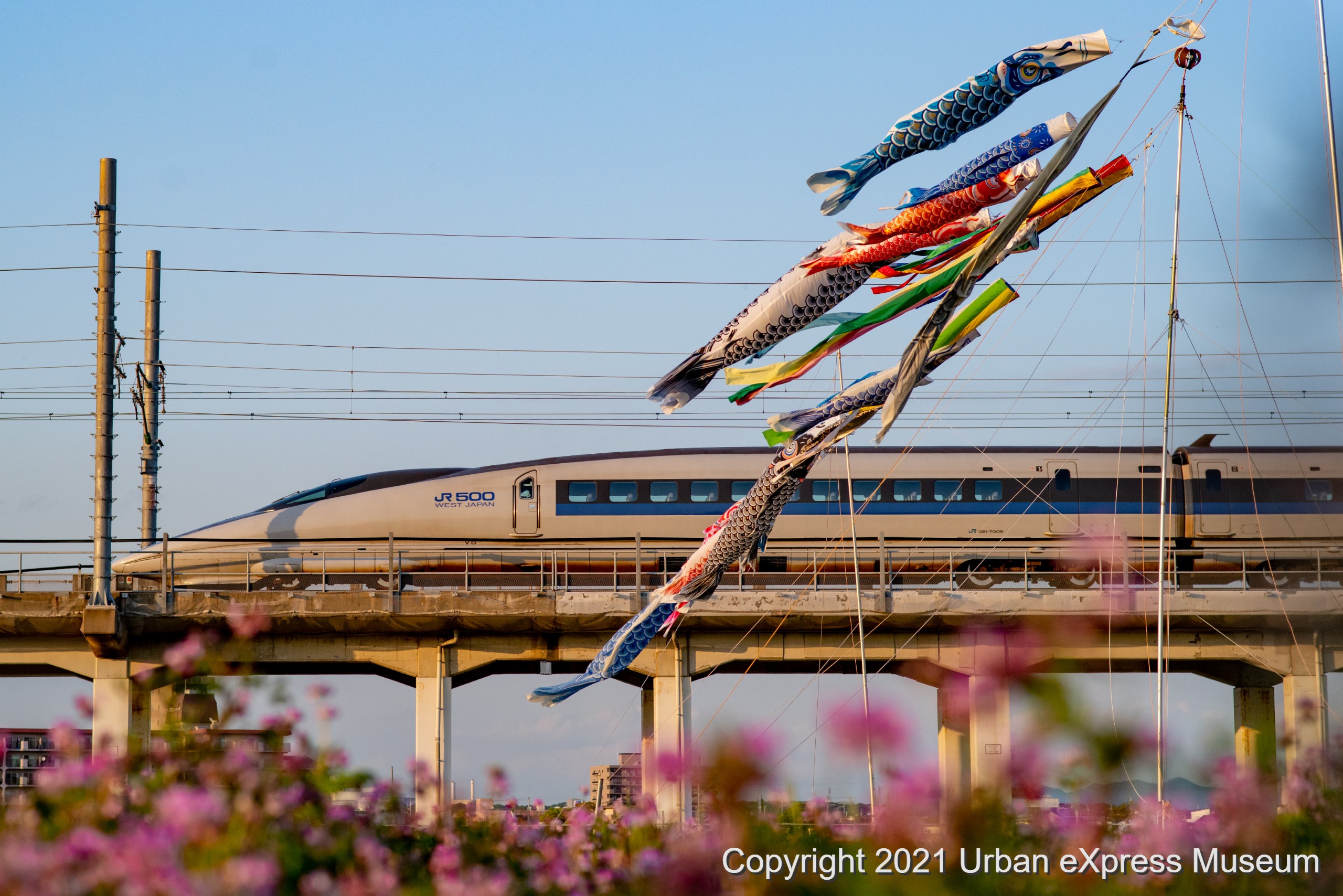 こいのぼりと500系 - Urban eXpress Museum